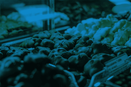 Waste Management In Food Manufacturing | Stevens Traceability Systems Ltd